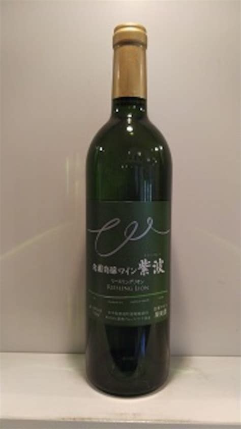 Bodega 松岡商店