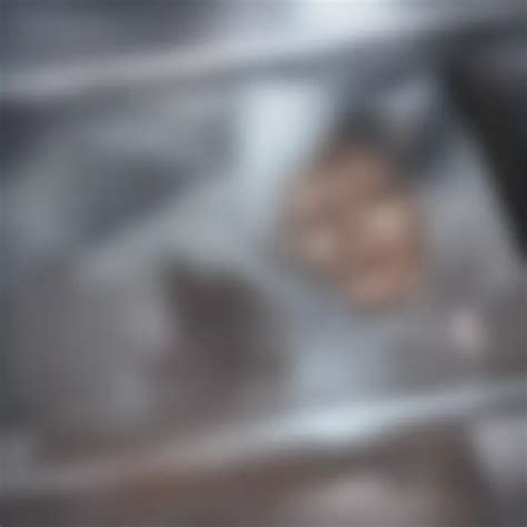 Understanding Anti Dsdna A Comprehensive Overview