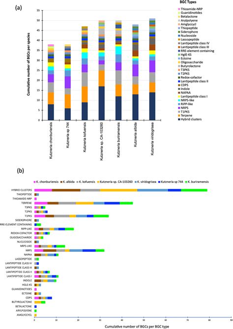 The 30 Different Types Of Secondary Metabolites Biosynthetic Gene