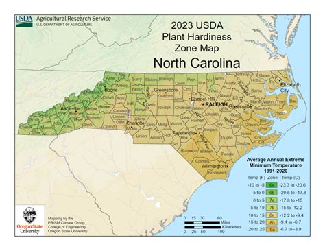North Carolina Vegetable Planting Calendar A Quick And Easy Guide
