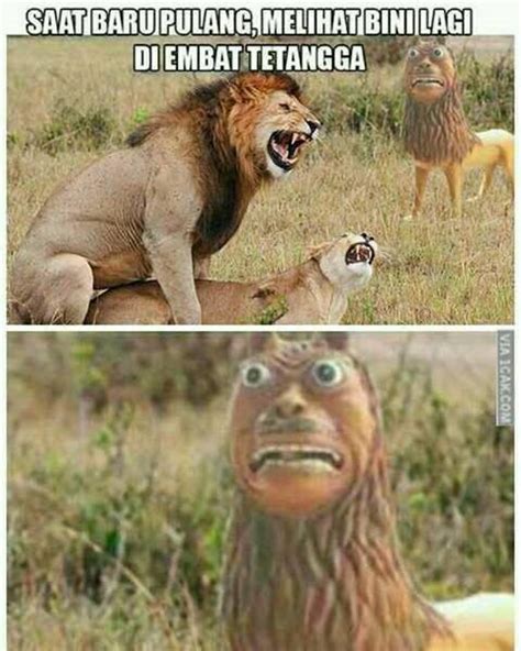 Macan Cisewu Meme 51 Koleksi Gambar