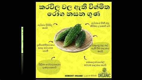 ගුණ දැනගෙන කන්න 👍 Youtube