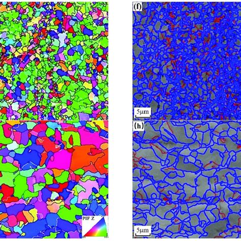 Ipf And Distribution Of Grain Orientation Of Ebsd Analysis Results
