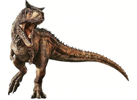 Dinosaur On Instagram Carnotauro Tyrannosaurus Tyrannosaurusrex