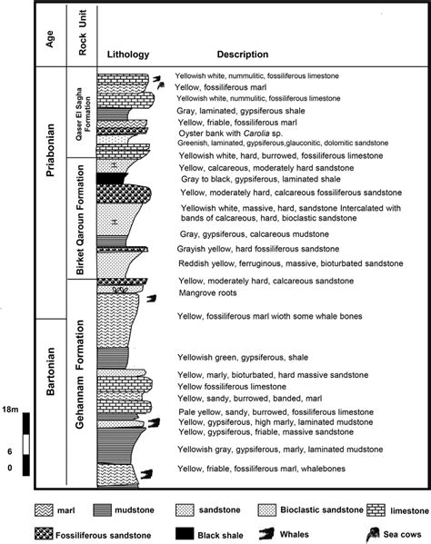 Stratigraphic Columnar Section Of Middle And Late Eocene At Qaret