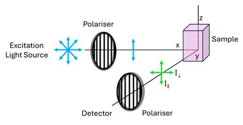 What Is Fluorescence Anisotropy Fluorescence Polarisation