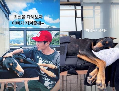 배정남 아빠가 지켜줄게”‘급성 디스크수술 반려견에 뜨거운 부정父情 세계일보