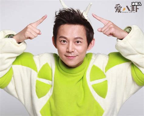 何炅同性恋传闻是真的吗 不结婚是因为性取向问题吗 明星 冰棍儿网