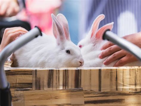 How To Enable ARCore On Any Android Phone