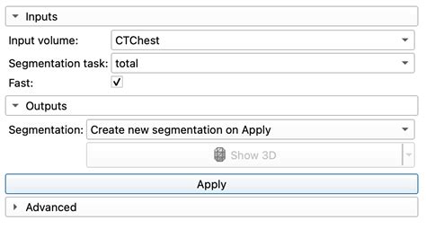 Total Segmentator Muddling Through Medical Imaging