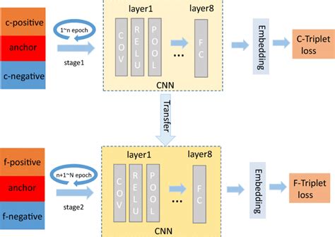 The Structure Of The Concept Ontology Triplet Network Download