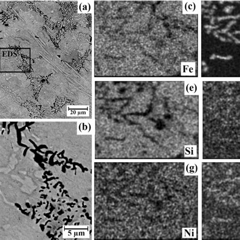 Microstructure Of Alloy 1 Analyzed By A And B Sem And Ch Eds