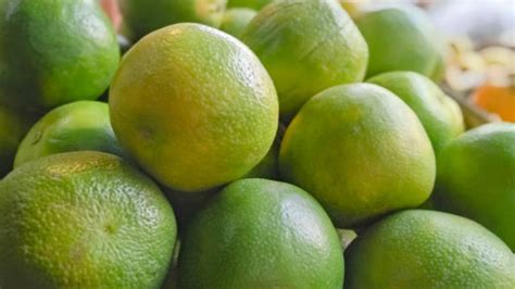 Sweet Lime Juice এই একটা ফলের রসে দূরে থাকবে হাজারো রোগ Bengali News