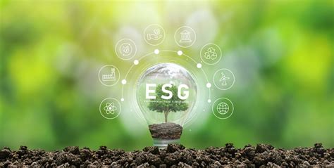 Esg A Nova Era Dos Negócios Sustentáveis E Seu Impacto Na Sociedade