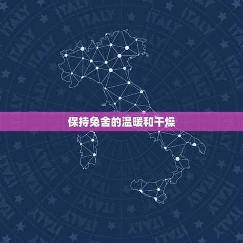 12月出生的兔好不好冬季兔子养护指南
