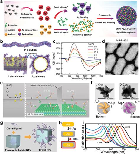 Chiral Plasmonic Hybrid Nanostructures Constructed By Chiral