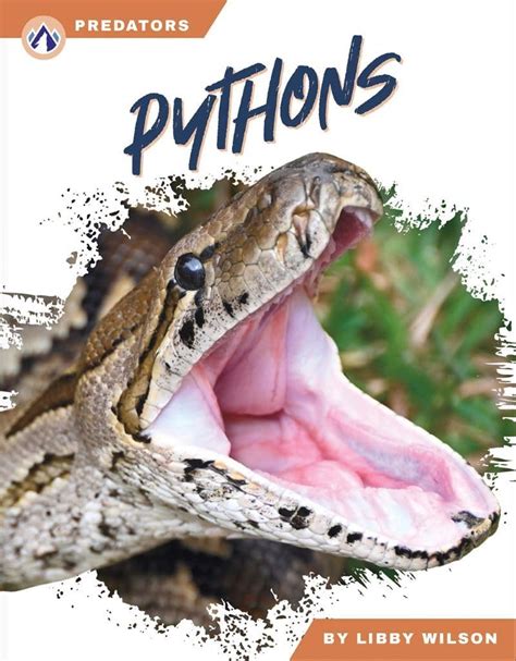 Pythons Predators Libby Wilson 9781637387757 Books