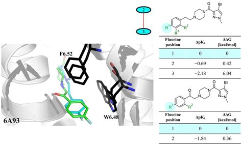 Binding Affinities Of Selected Compounds And ΔΔg Values Right