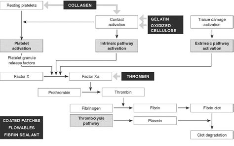 figure 1 from development of a bleeding scale and hemostasis algorithm