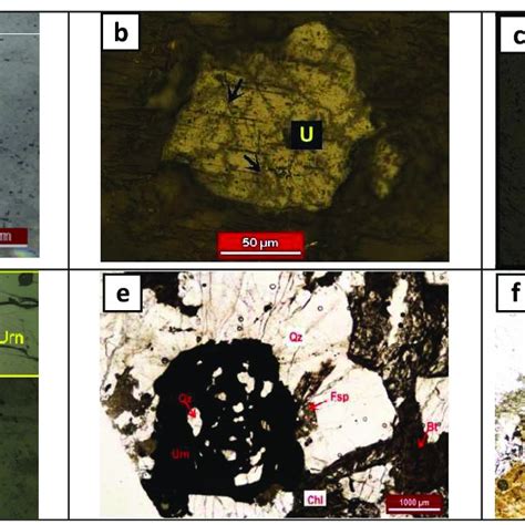 Uraninites Of Rwb A Fractured Subhedral And Euhedral Uraninite From