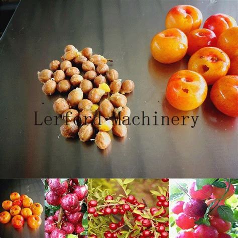 China Commercial Cherry Pitter Suppliers Factory Low Price Commercial Cherry Pitter