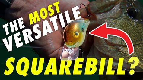 This Squarebill Will Dominate Wood Rock And Grass Fall And Spring