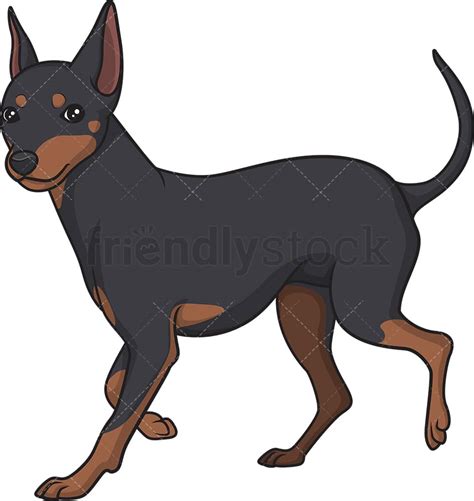 Proud Mini Pinscher Cartoon Clipart Vector Friendlystock