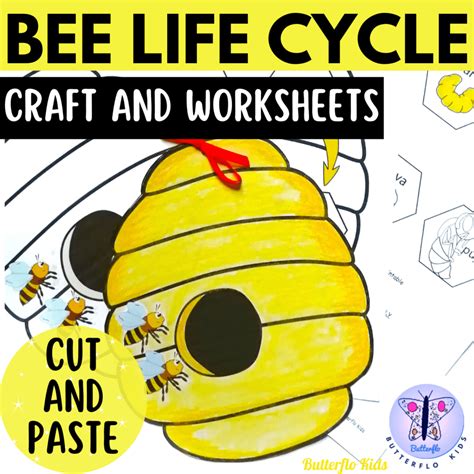 Bee Life Cycle Freebie Bee Life Cycle Bee Activities