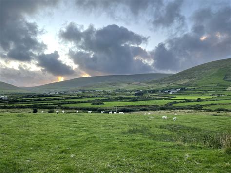 Dafm Report On Acres Review At Advanced Stage Agriland Ie