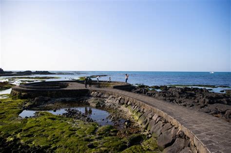 내년 세계 환경의 날 행사 6월 제주서 열린다 Jeju Island To Host World Environment Day