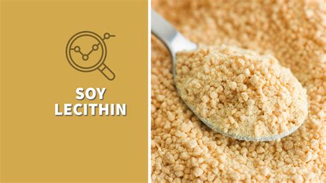 Soy Lecithin A Nutrition Powerhouse Kg Food Company