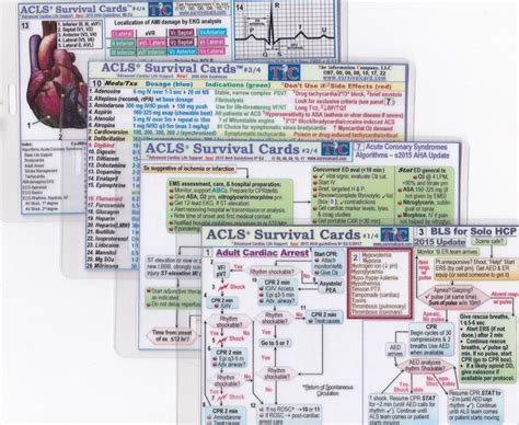 ACLS Advanced Cardiac Life Support Survival Card Quick Reference Study Guide 4 Card Set