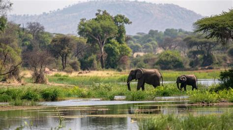 Wildlife Conservation Area With Protected Species Premium Ai Generated Image