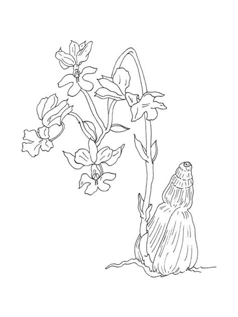 Libro para colorear Planta que crece de la tierra imprimible y en línea