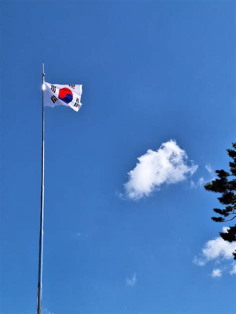 이경복의 아침생각 하늘 꽃 마음 열린 어제 개천절