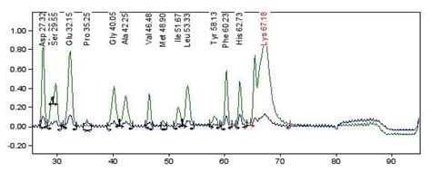 Amino Acids Detected In Chickpea Seeds By Automatic Amino Acid Analyzer