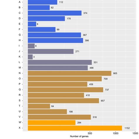 Kegg Function Analysis Download Scientific Diagram