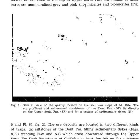 Stratigraphic Section Of The Lower Part Of Panchet Formation In The