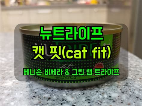 고양이주식캔 뉴트라이프 캣 핏nutripe Cat Fit 베니손 비세라 앤 그린 램 트라이프 습식캔 급여 후기