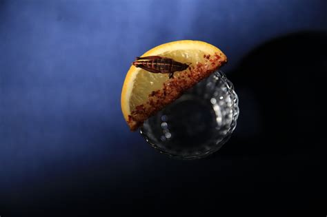 Pez Miami Menu Prices And Restaurant Reviews Tripadvisor