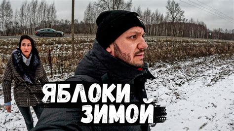 КОМАНДА ОРЛОВЕЦ ВСТРЕТИЛА ЗИМУ ИСКАЛИ ЯБЛОКИ Youtube