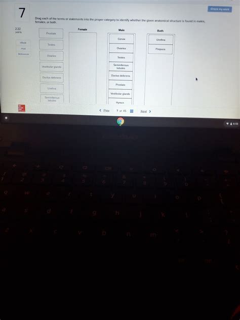 Solved HW CH Reproductive Female Help Save Exit Chegg Com