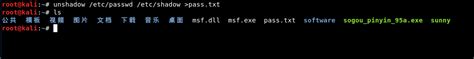 John 破解linux登录密码 Csdn博客