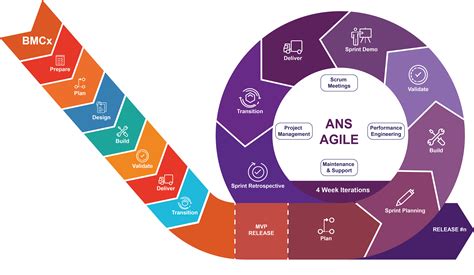 Waterfall Agile Diagram Bold Ans Digital