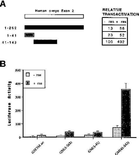 Figure 1 From The Transactivation Potential Of A C Myc N Terminal Region Residues 92 143 Is