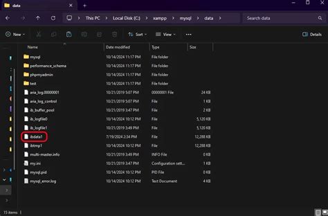 راز رفع خطای استارت نشدن Mysql در Xampp را کشف کنید فروش قالب و افزونه وردپرس آموزش وردپرس
