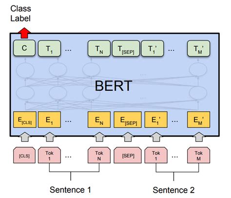 Fine Tuning Pre Trained Models For Generative Ai Applications Artofit