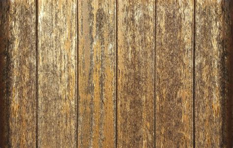 Free Images Table Tree Nature Structure Board Texture Plank