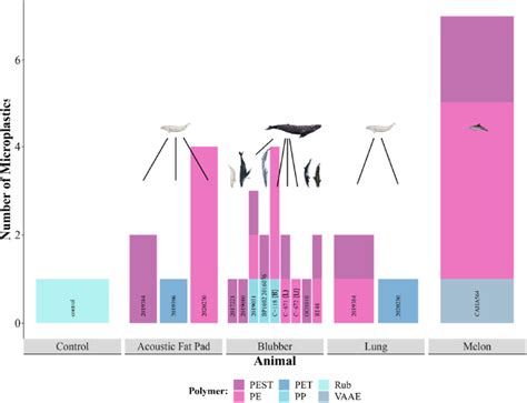 Raman Spectrometry Results Representing Number Of Microplastics Per