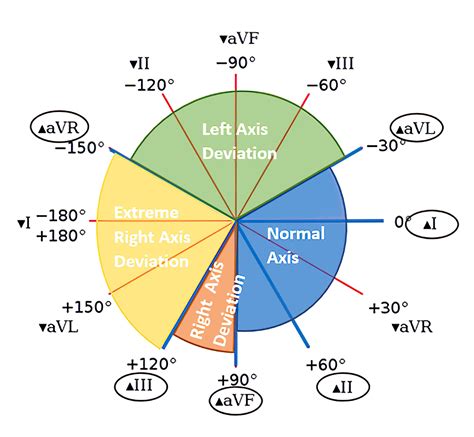 Topic The Cardiac Axis 12 Lead Ecg Course Acls Certification